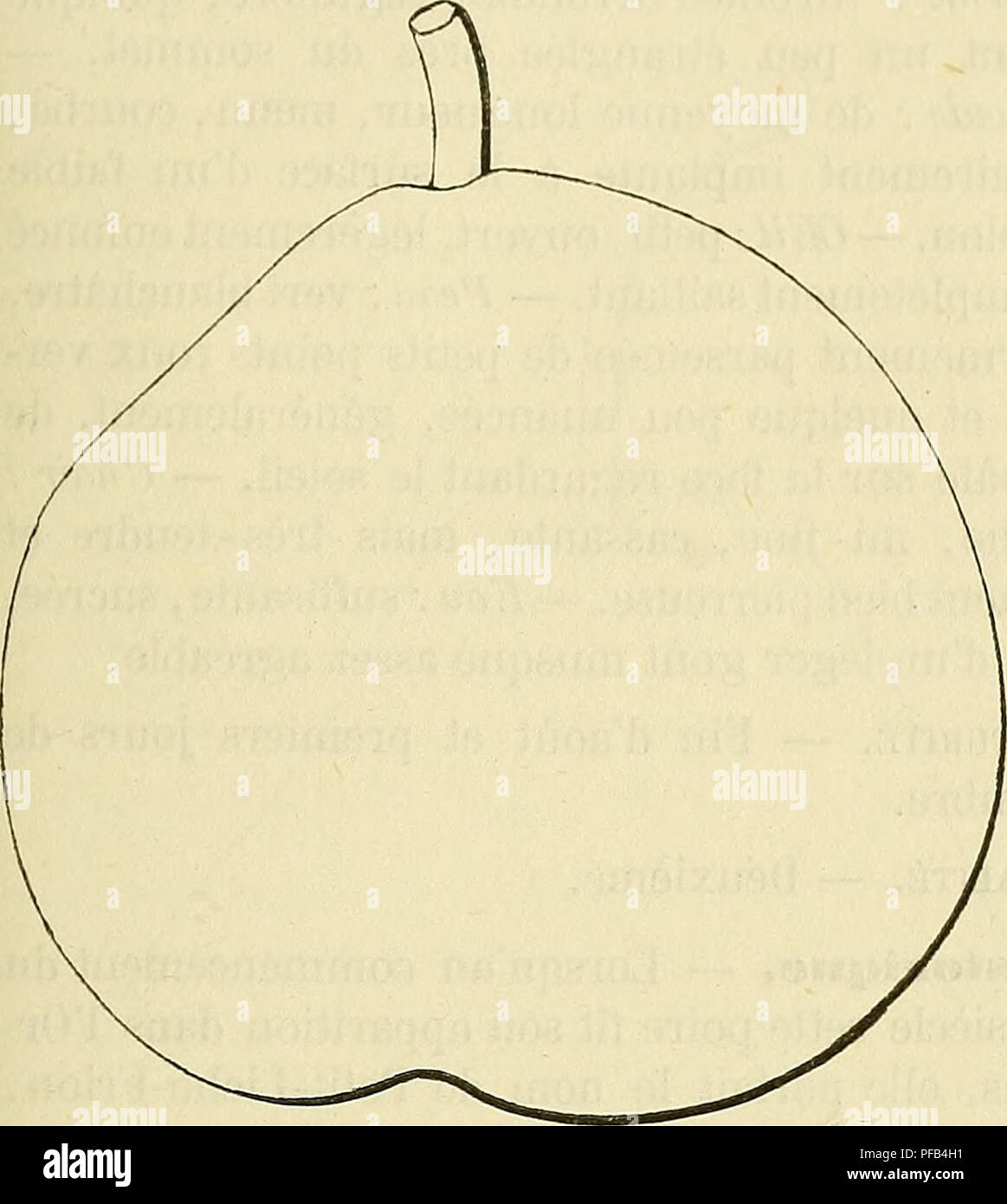 This dictionary provides descriptions and illustrations of both ancient ...