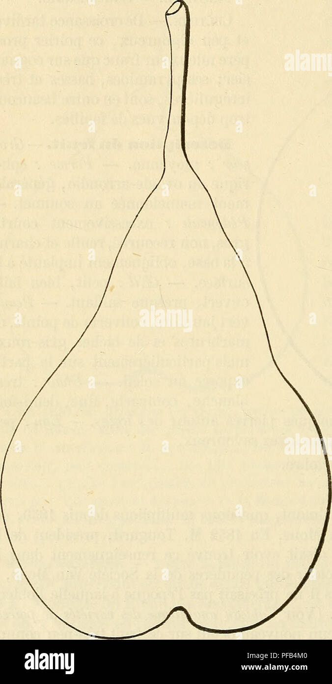 This French pomology dictionary describes the Briffaut pear tree, known ...