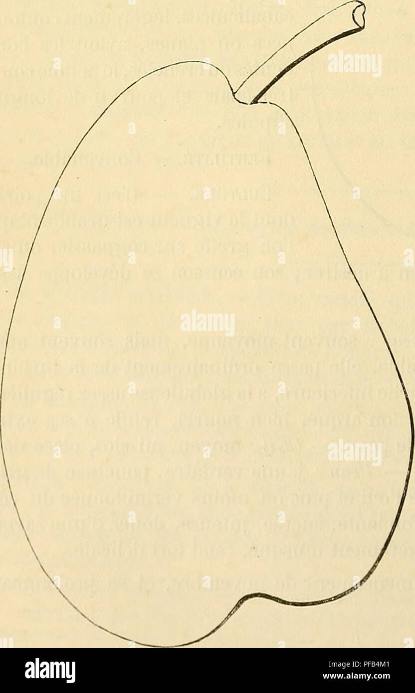 This dictionary of pomology provides detailed descriptions and ...