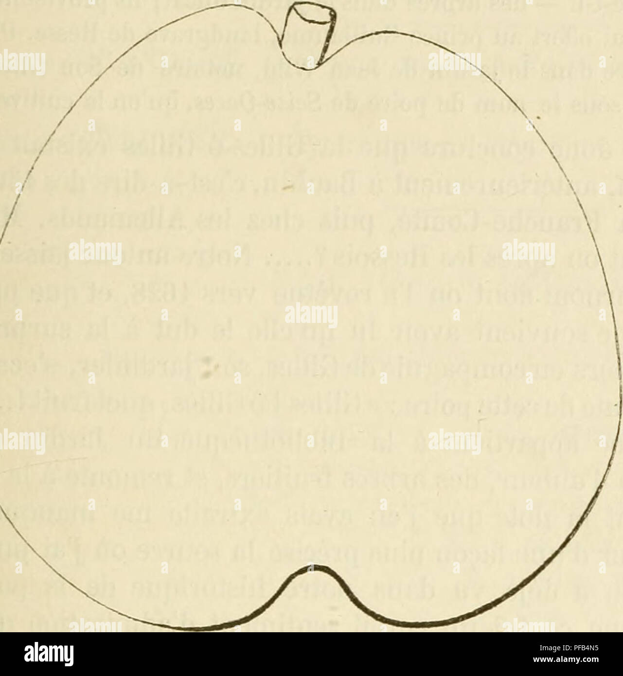 This French pomology dictionary provides detailed descriptions of ...