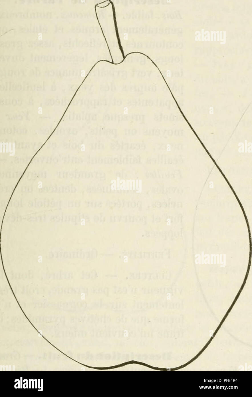 This dictionary of pomology provides detailed descriptions of both ...