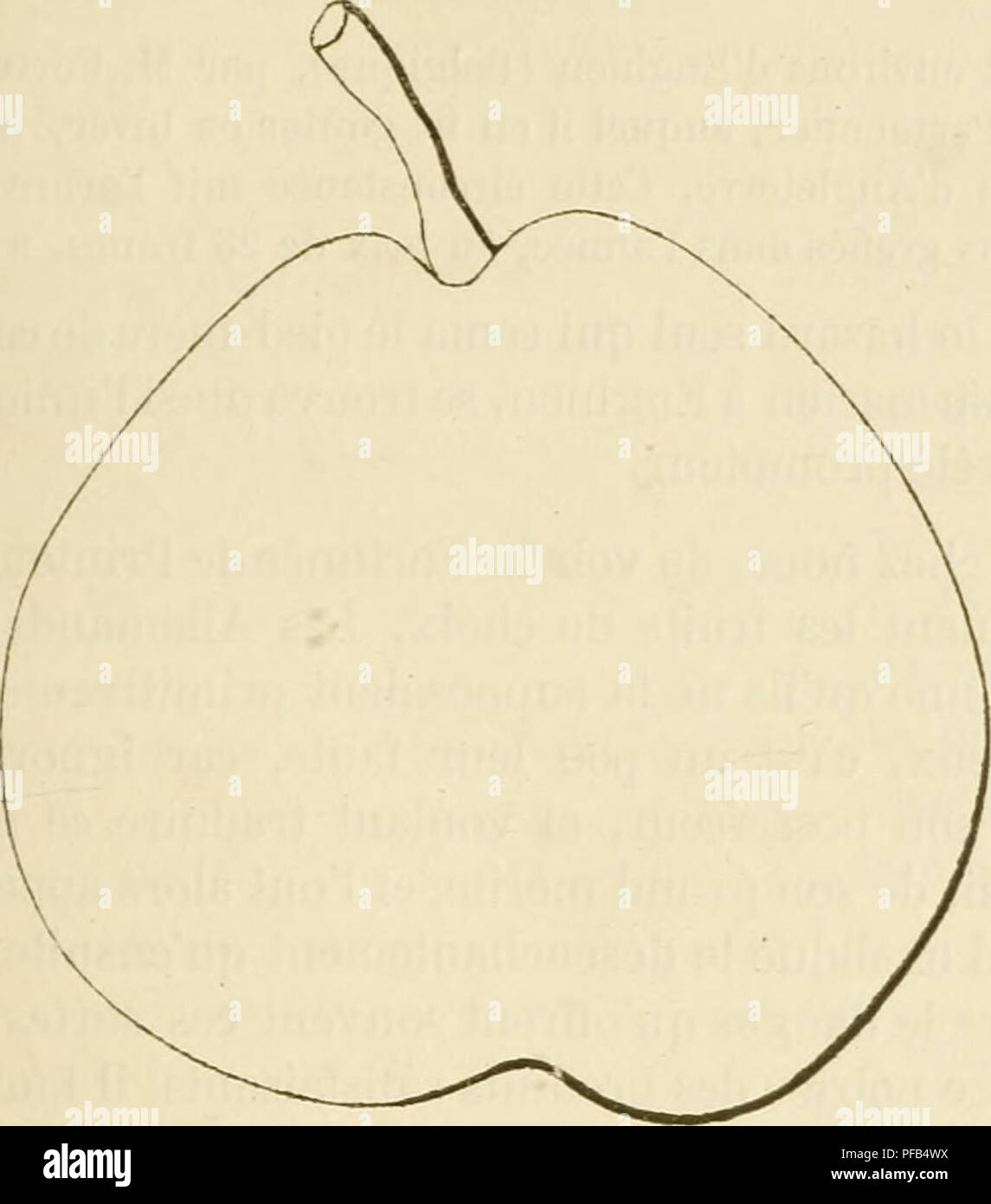 This dictionary of pomology provides comprehensive descriptions of both ...