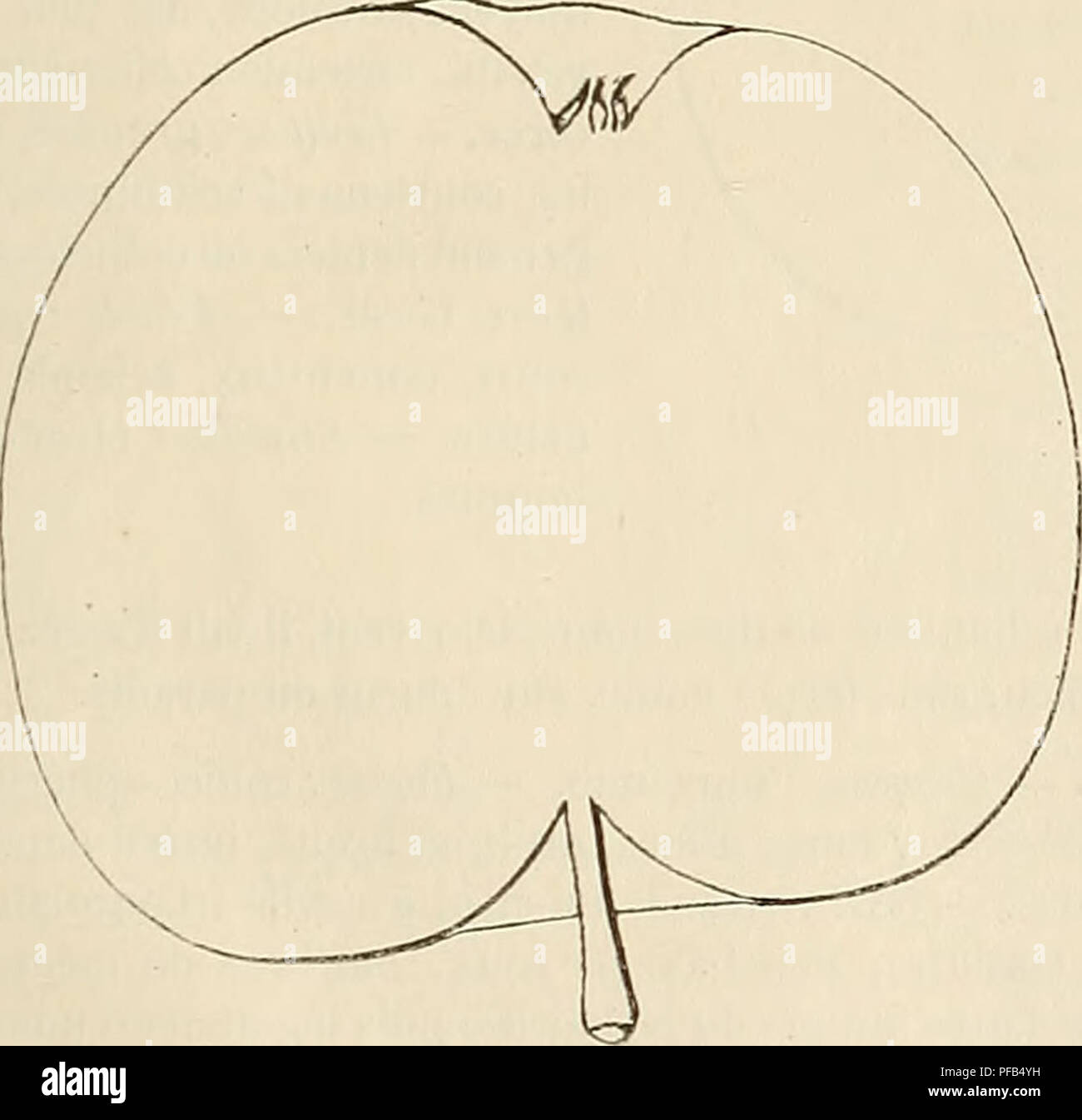 This dictionary of pomology offers detailed descriptions of ancient and ...