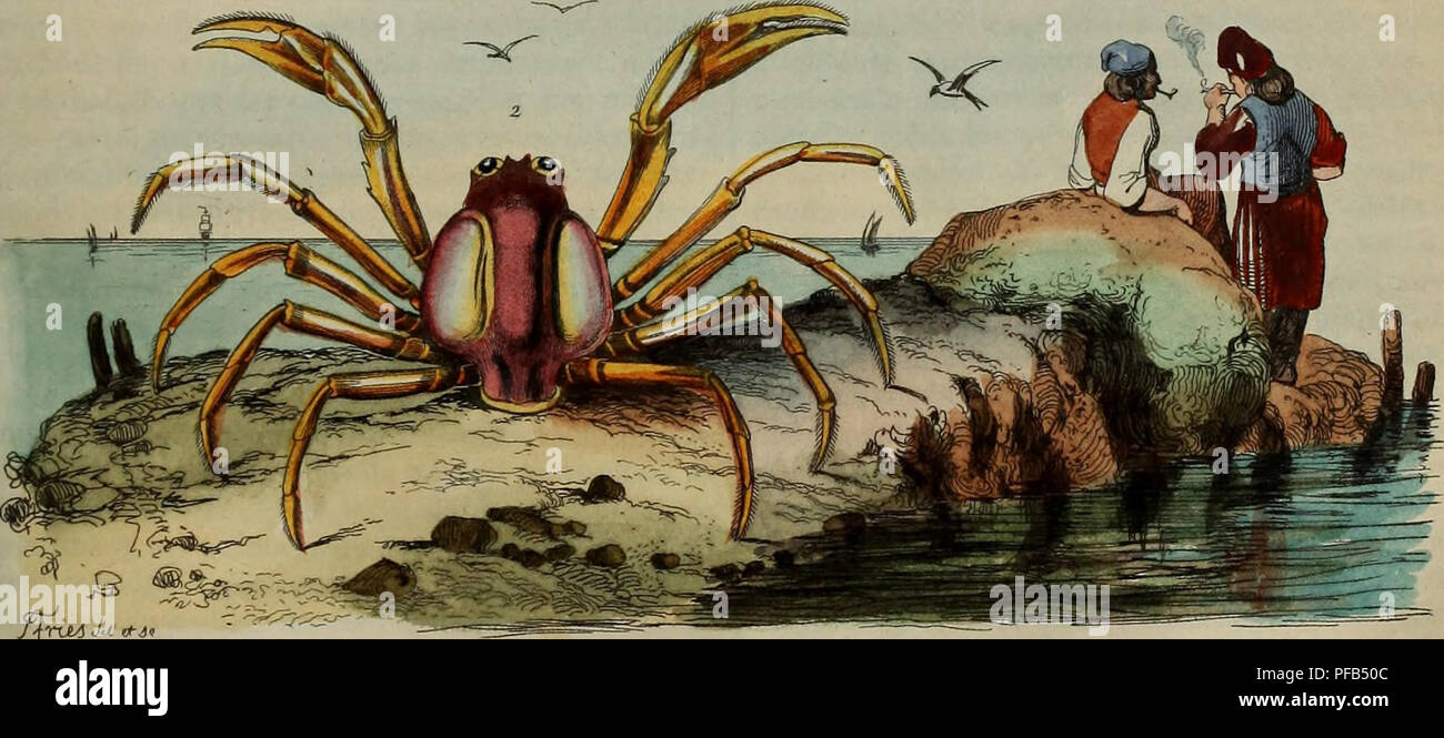 This pictorial dictionary of natural history presents detailed ...