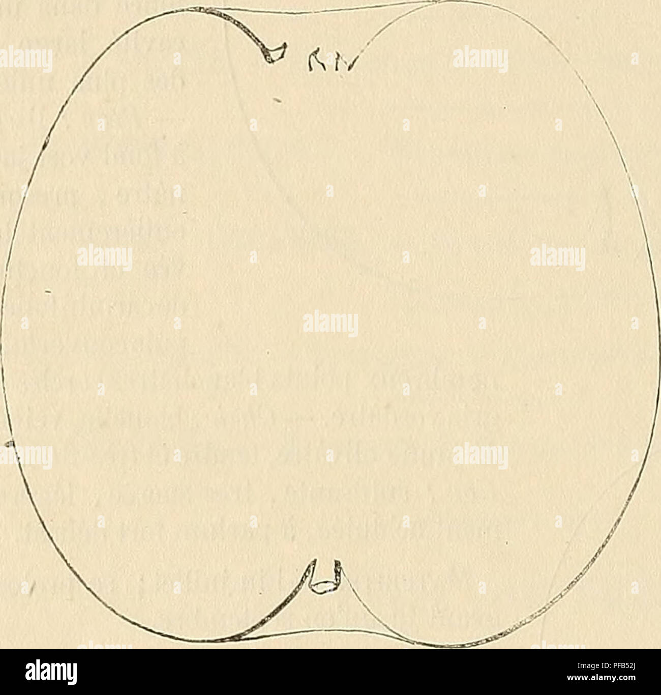 This dictionary of pomology offers a comprehensive history and ...