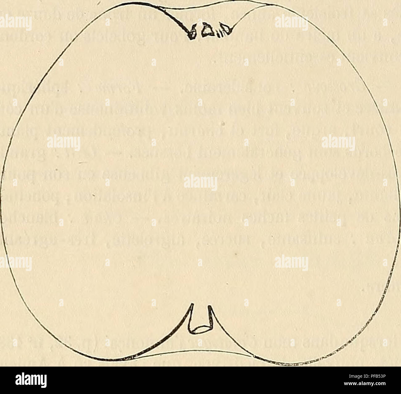 This dictionary of pomology provides a comprehensive history ...