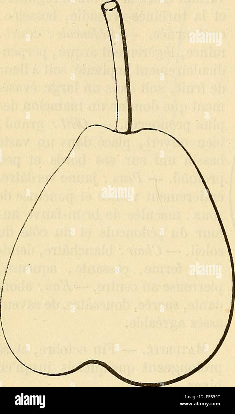 This dictionary of pomology provides detailed descriptions of ancient ...