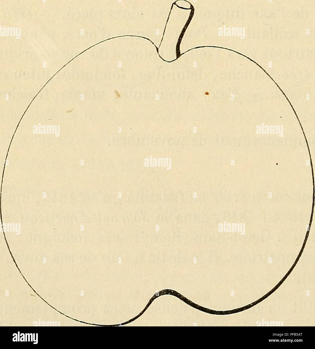 This dictionary of pomology provides detailed descriptions and ...