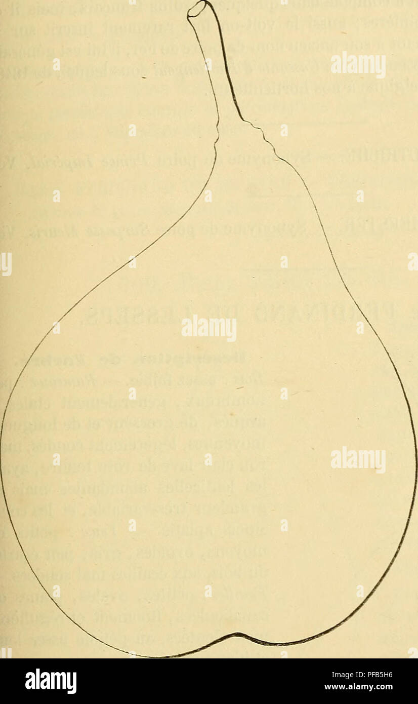 This volume of the Pomological Dictionary continues to describe the ...