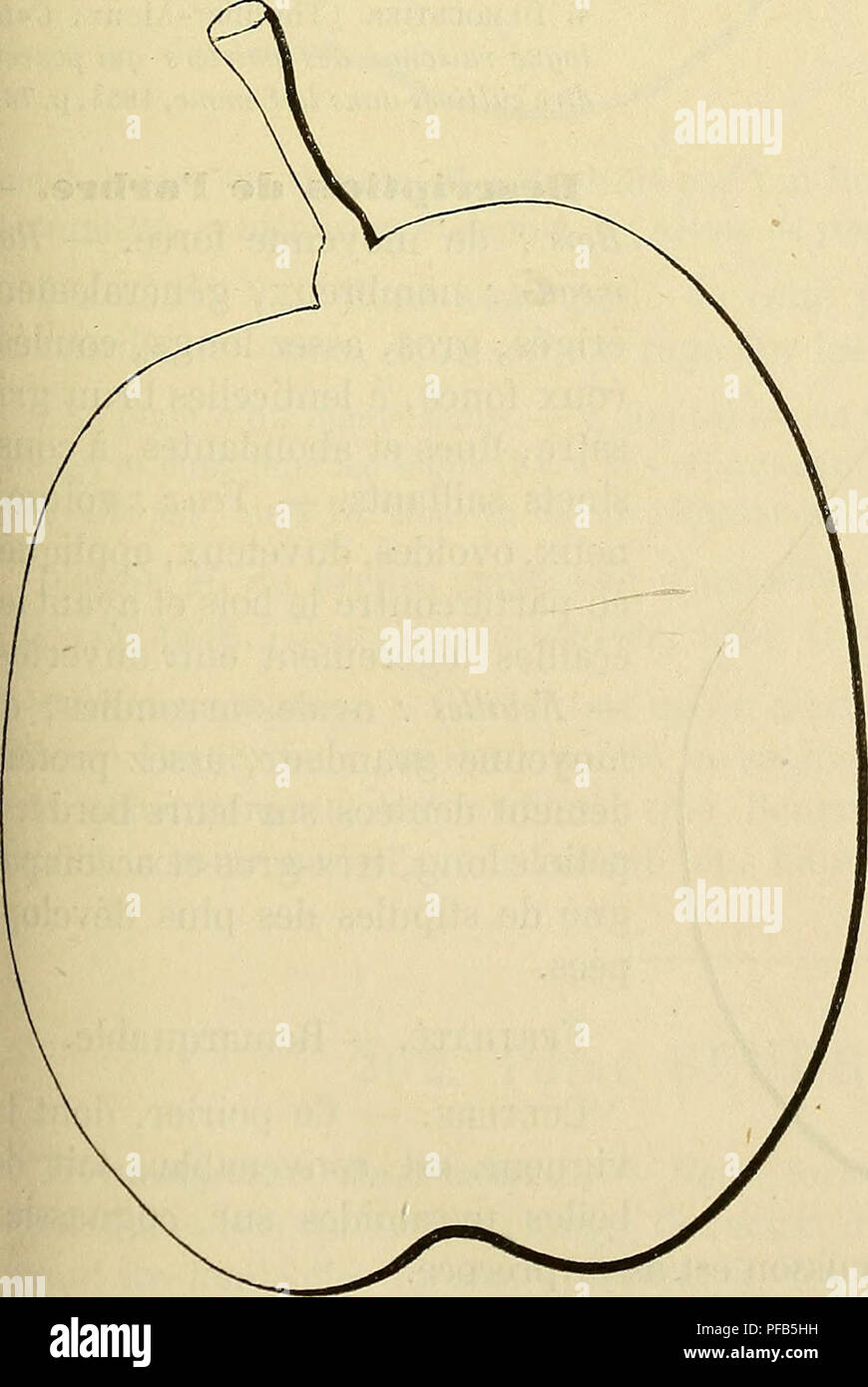 This French pomology dictionary offers descriptions of various fruits ...