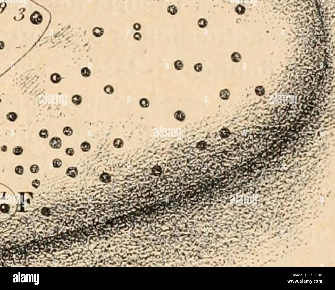 This illustration, based on research by Matthias-Duvai, depicts the ...