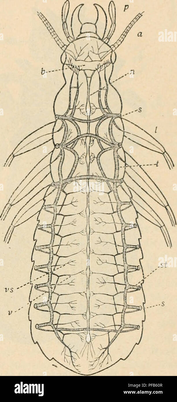 This entry in the *Dictionnaire de Physiologie* explores the ...