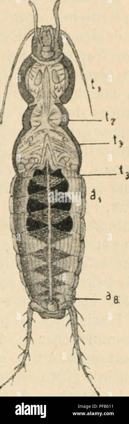 This dictionary provides comprehensive information on the physiology of ...