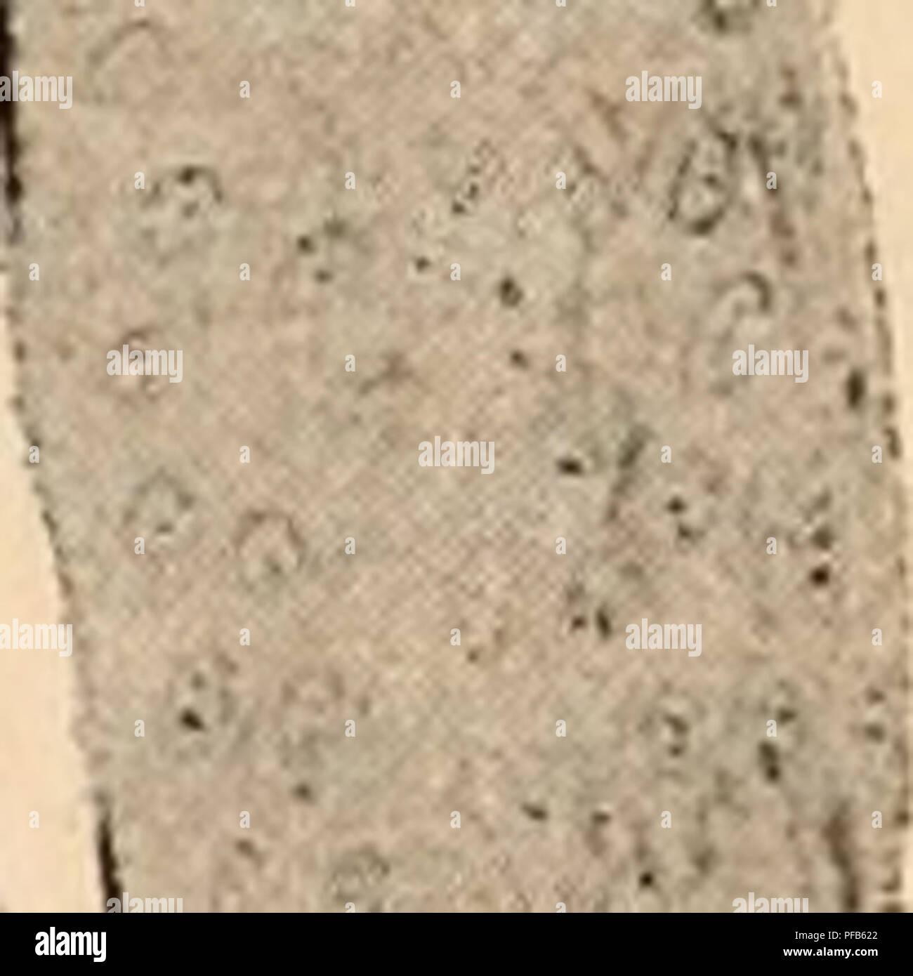 This entry illustrates a schematic diagram of a rabbit’s taste bud ...