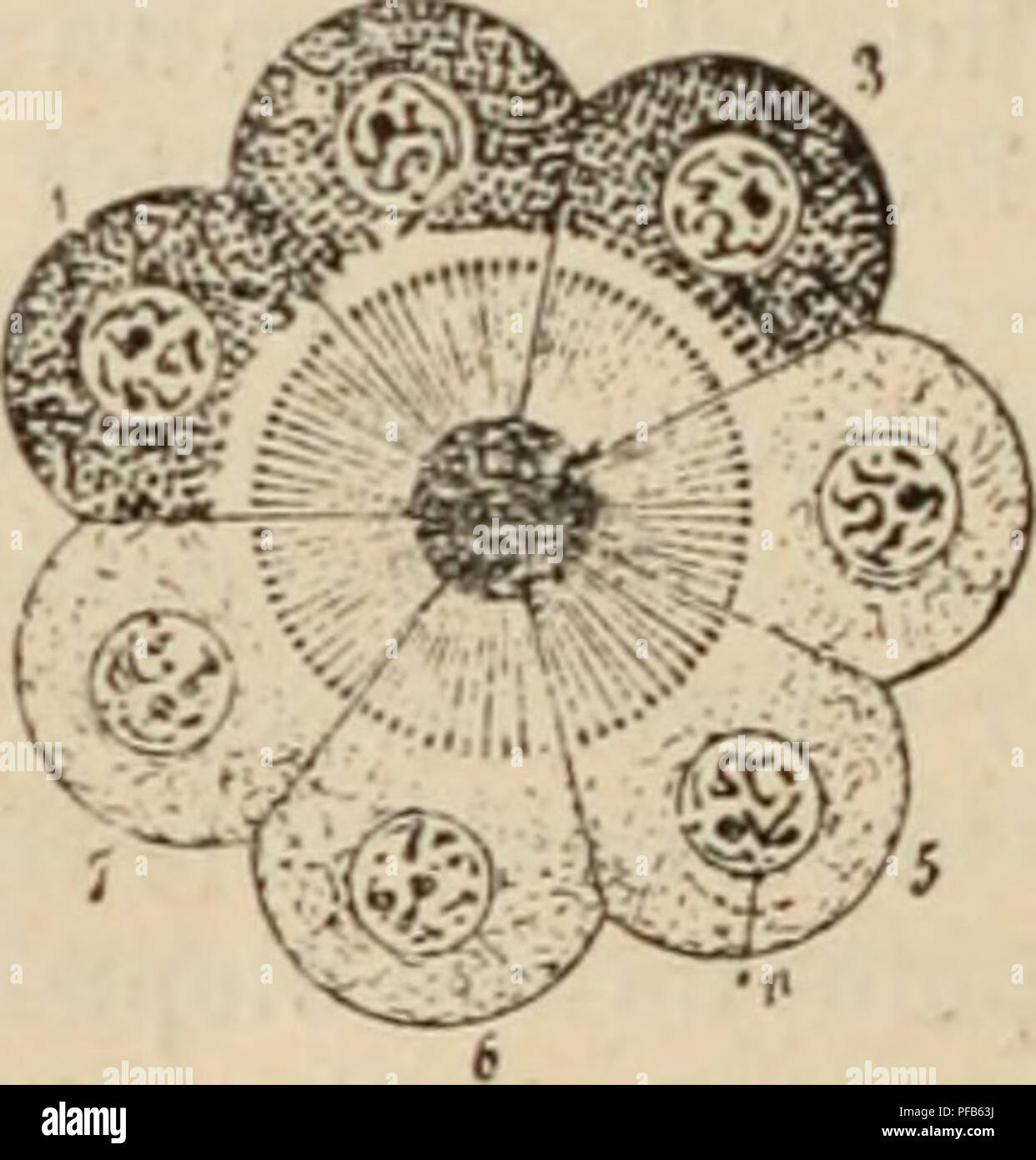 Retinal cones function hi-res stock photography and images - Alamy