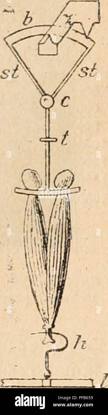 This illustration from a physiology dictionary demonstrates a ...