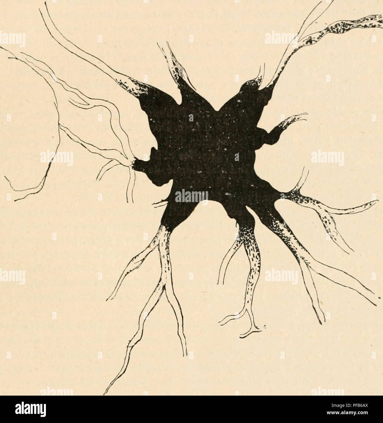 This physiology dictionary provides comprehensive descriptions of ...