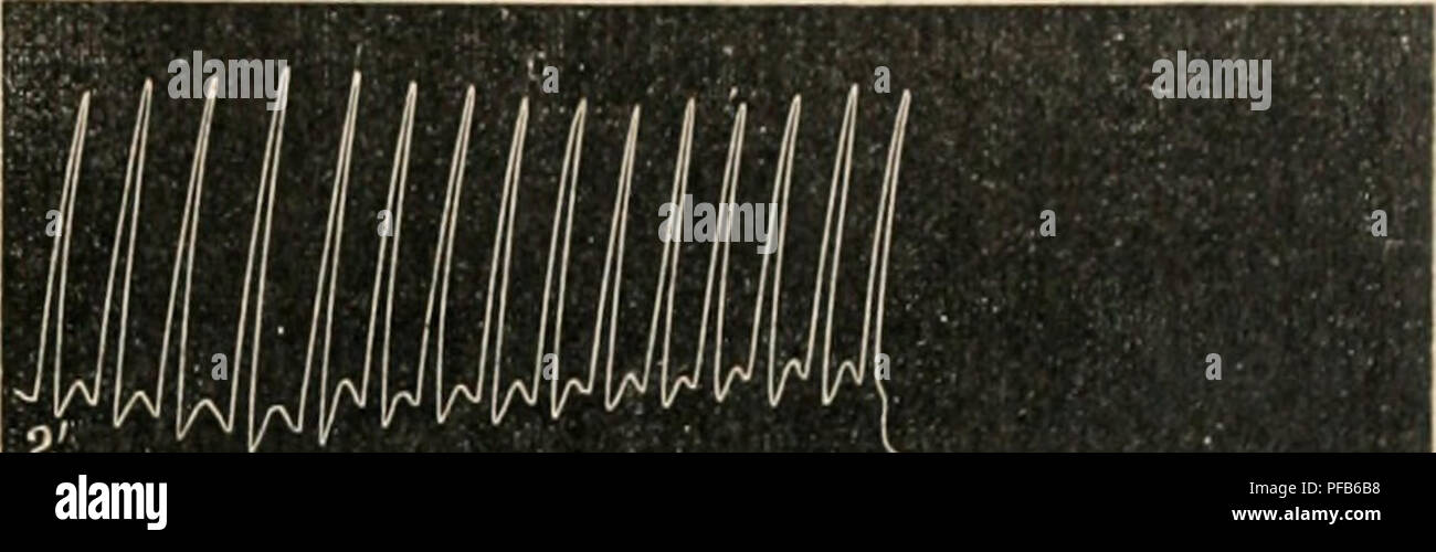 This dictionary of physiology covers the effects of chloroform as an ...