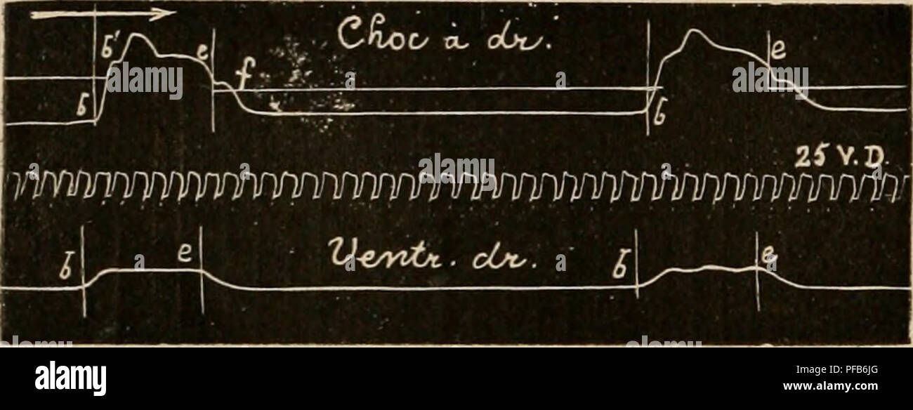 This image is from a French dictionary of physiology, showing detailed ...