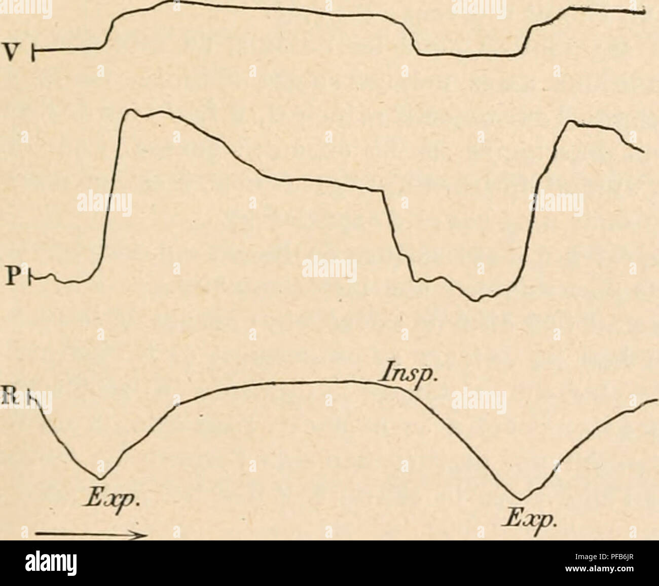 This image from the 'Dictionnaire de Physiologie' shows a diagram of a ...
