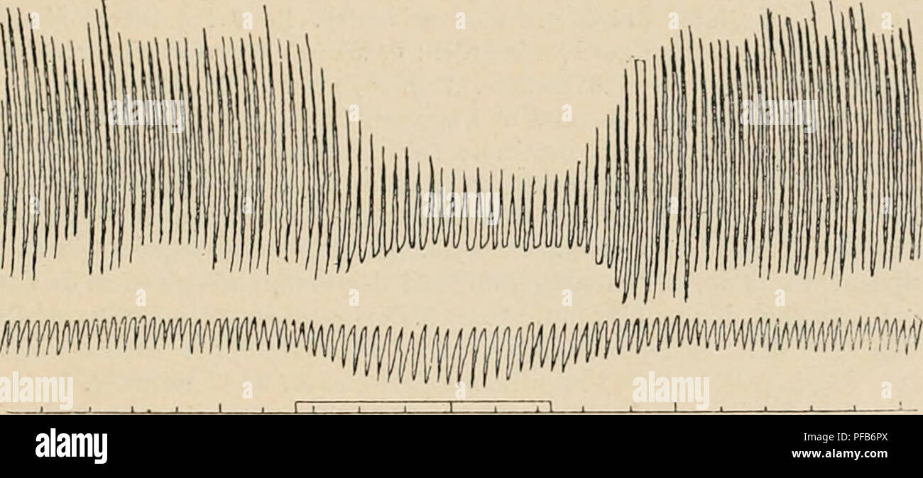 Elle a conduit hi-res stock photography and images - Alamy