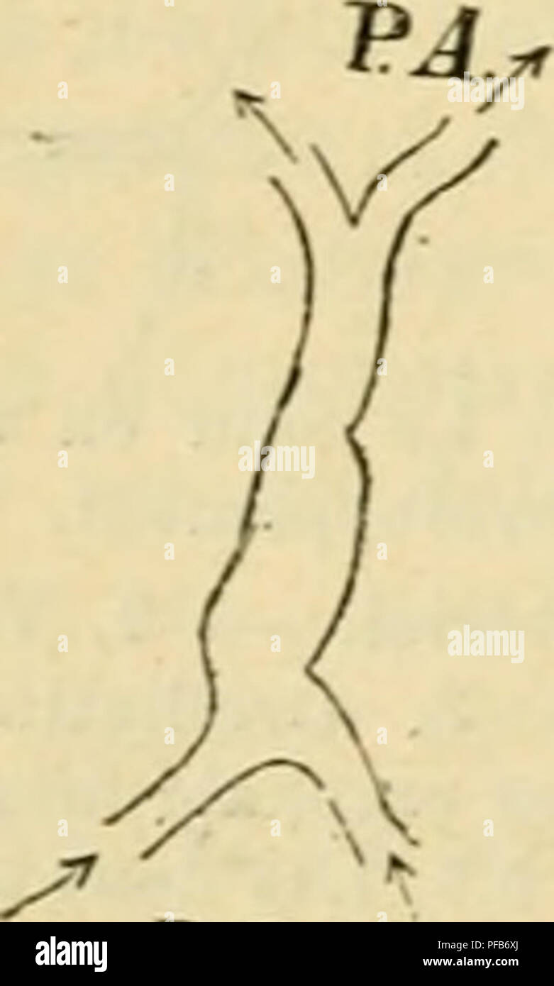 This dictionary of physiology offers comprehensive descriptions of ...