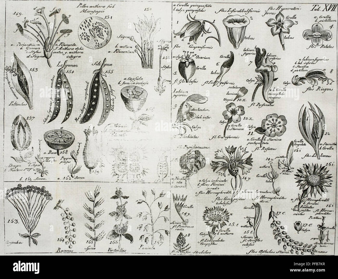 This dictionary provides definitions and explanations for natural ...