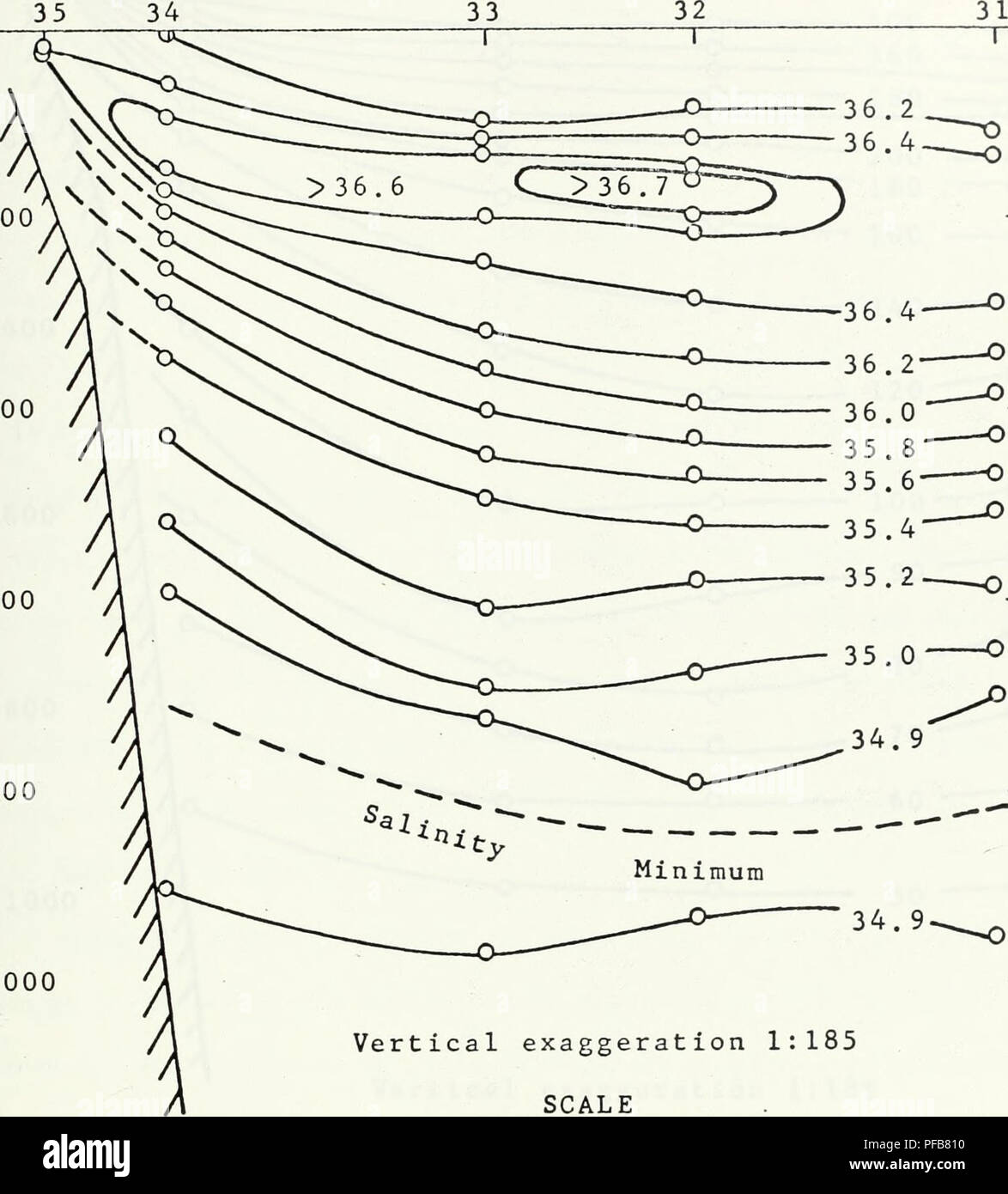 Oceanographers At Work