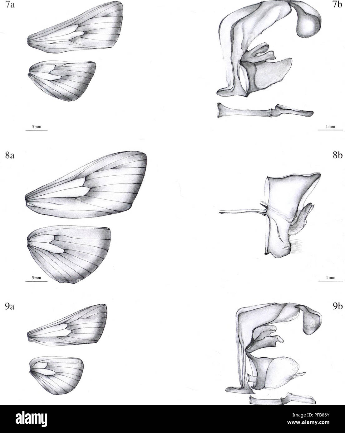 This study presents a new genus and twenty-three species of ...