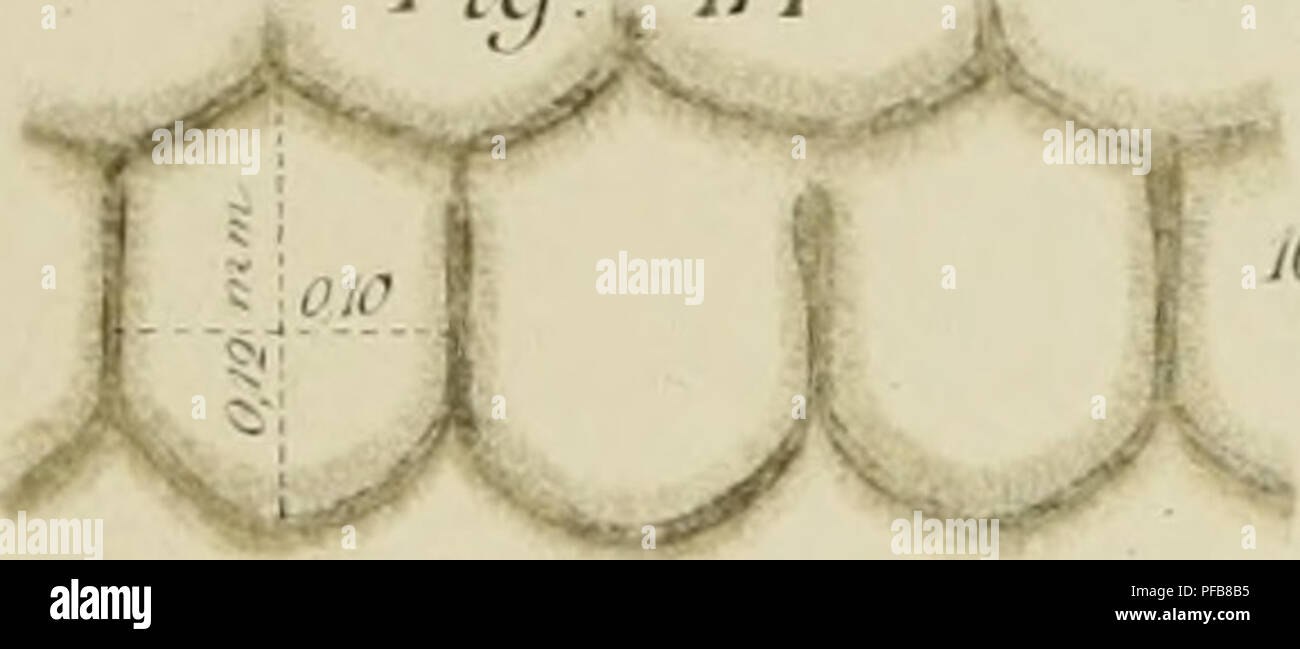 Geological description of Java and Madoura, covering volcanic ...