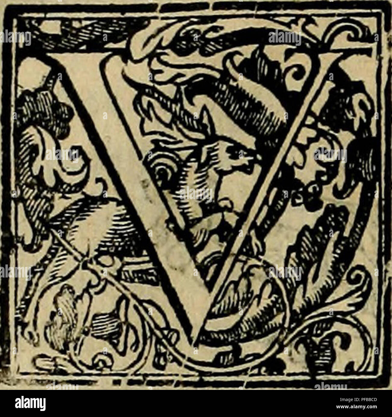 Bar acosta hi-res stock photography and images - Alamy