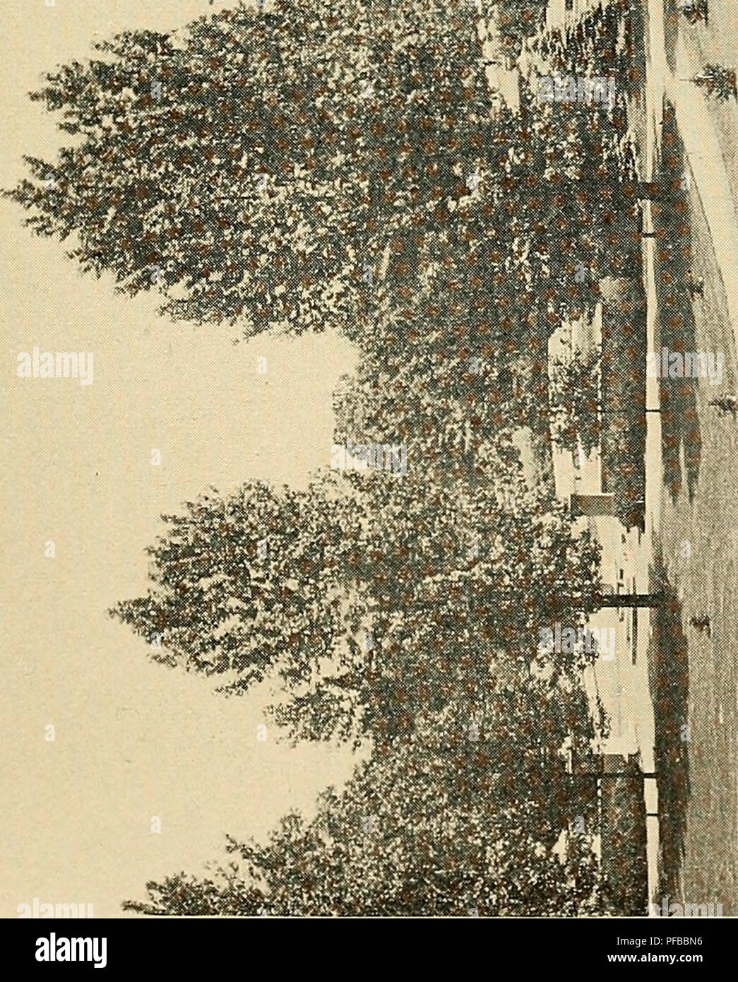 This descriptive guide provides detailed information about the grounds ...