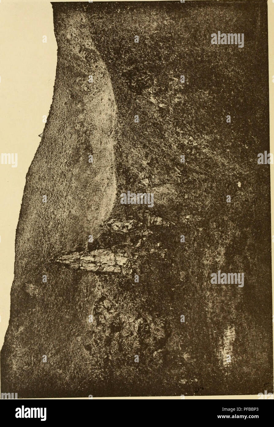 This geological work provides an in-depth look at the volcanic ...