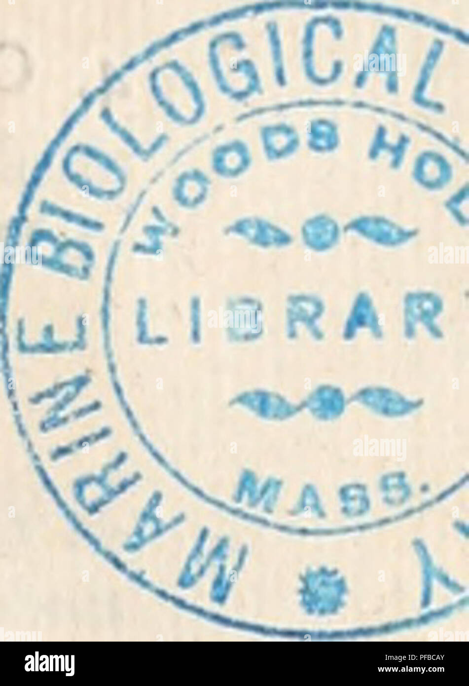 Cera flava hi-res stock photography and images - Alamy