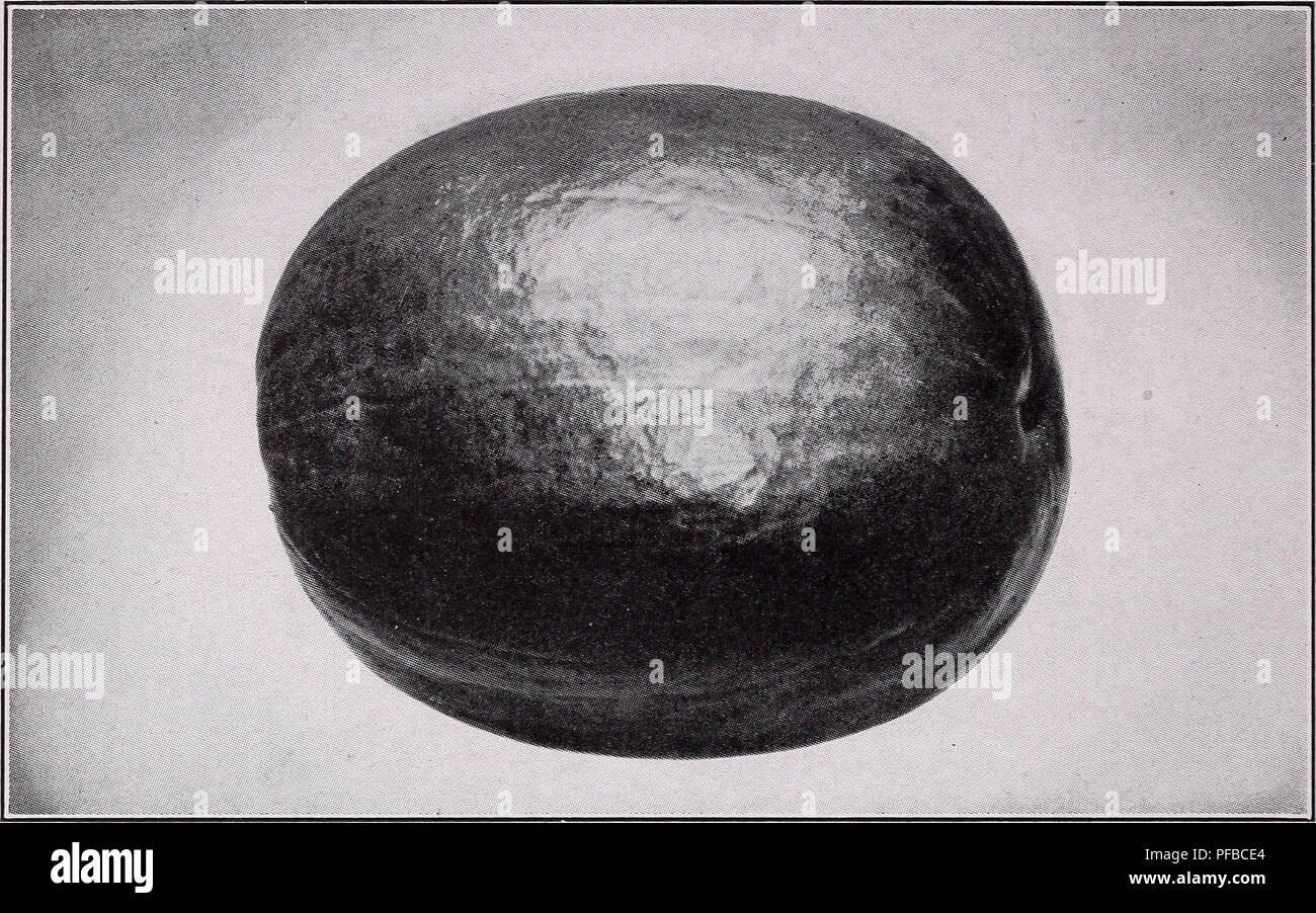 Giant sized fruits and vegetables hi-res stock photography and images ...