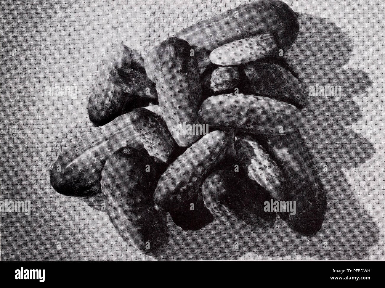 Henry packer hi-res stock photography and images - Alamy