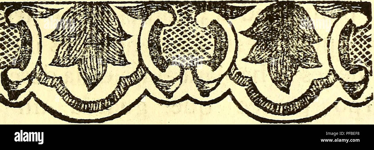 This description focuses on marine animals, highlighting various ...