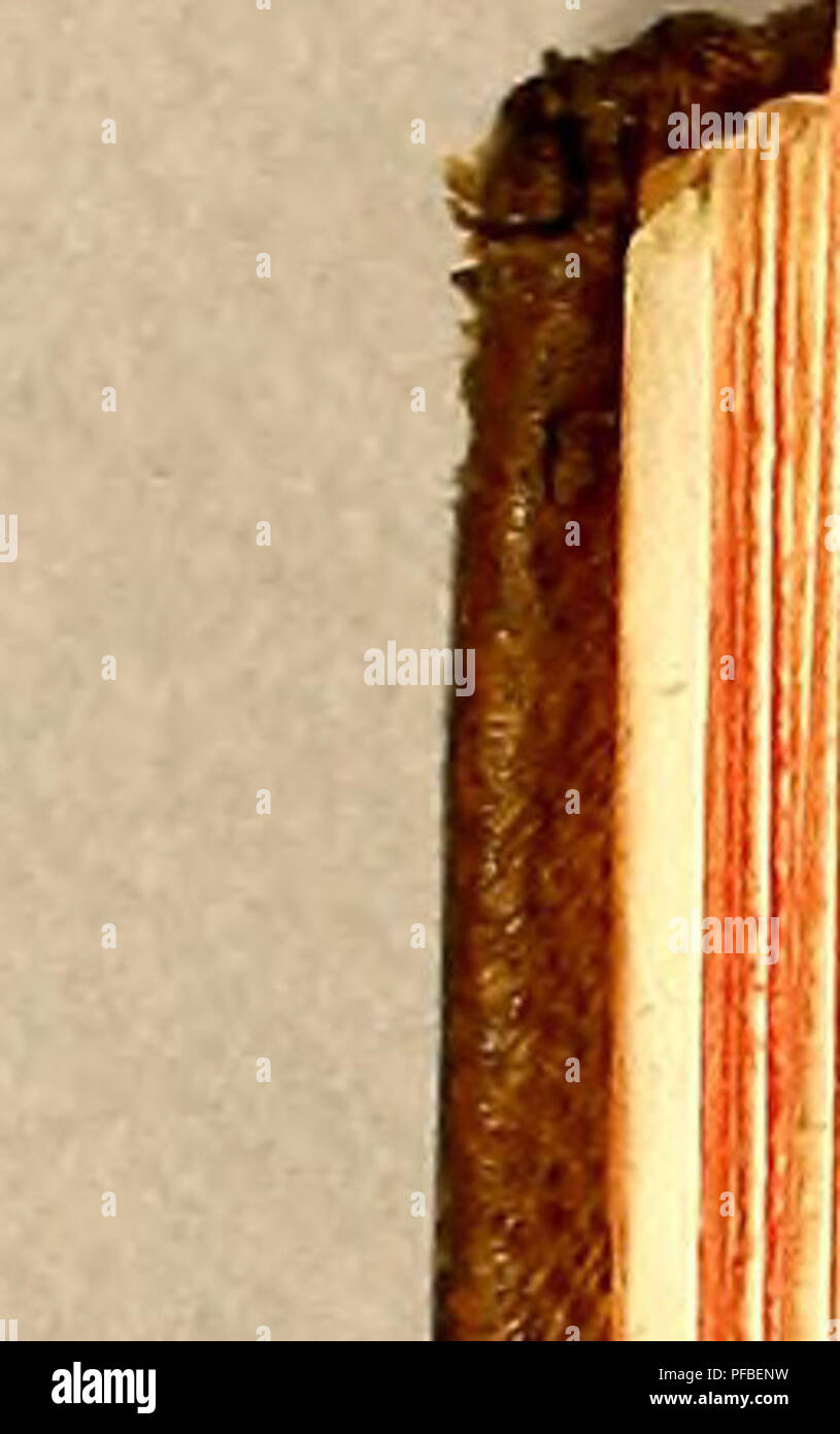 This Spanish work offers descriptions of marine species and their ...