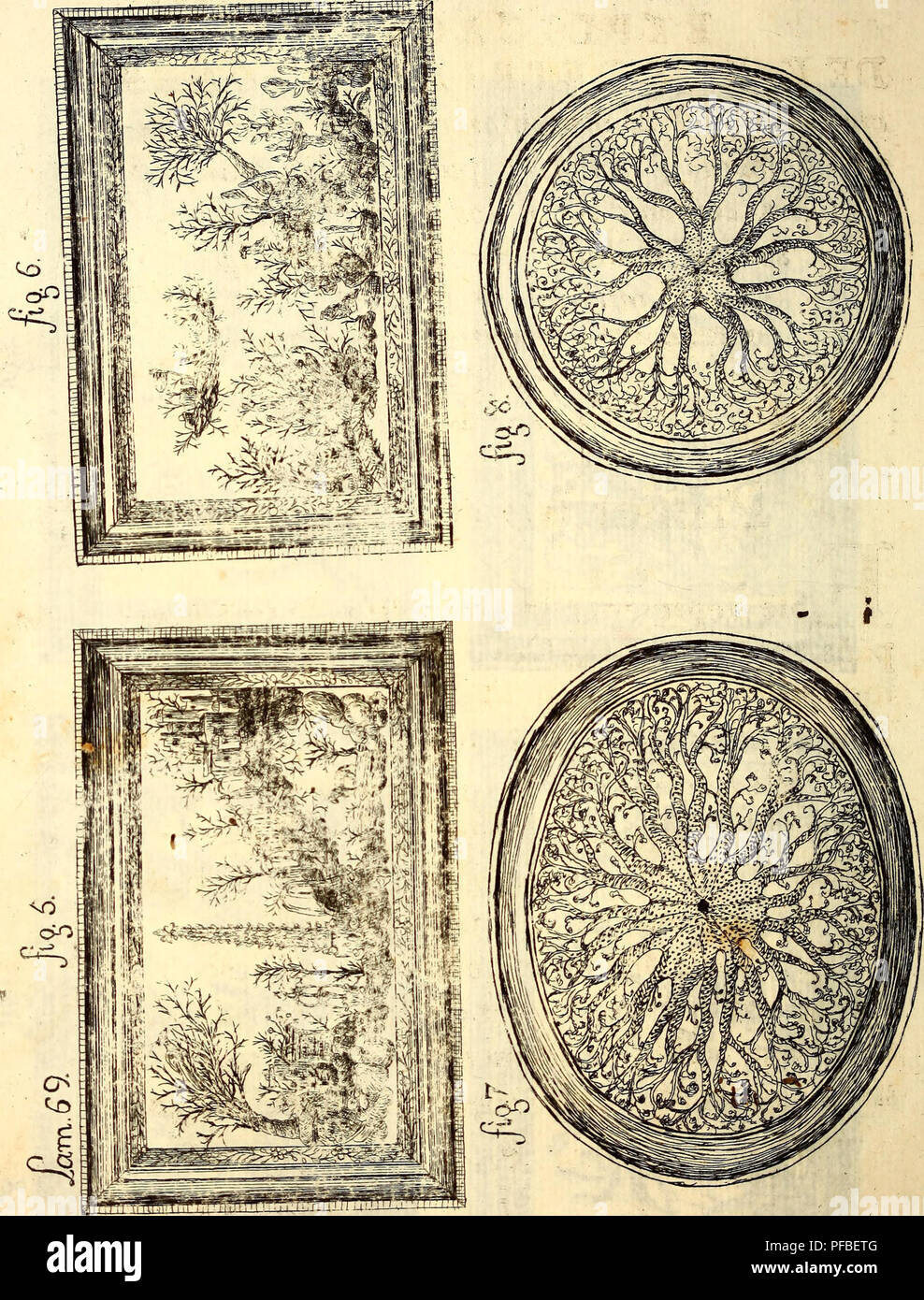 This work showcases various marine life specimens in 75 illustrated ...