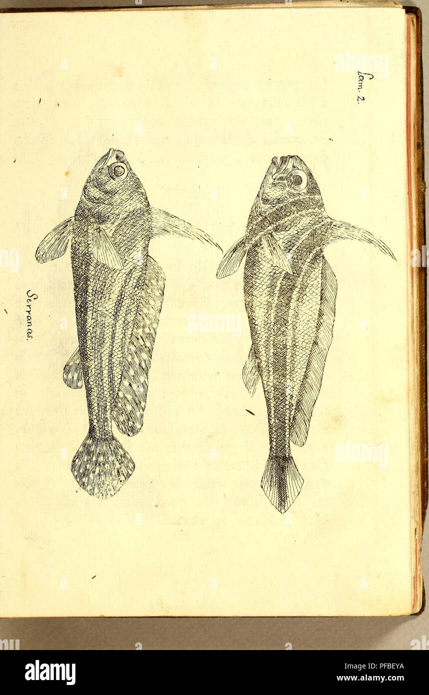 This 1787 work by Antonio Parra provides an illustrated description of ...