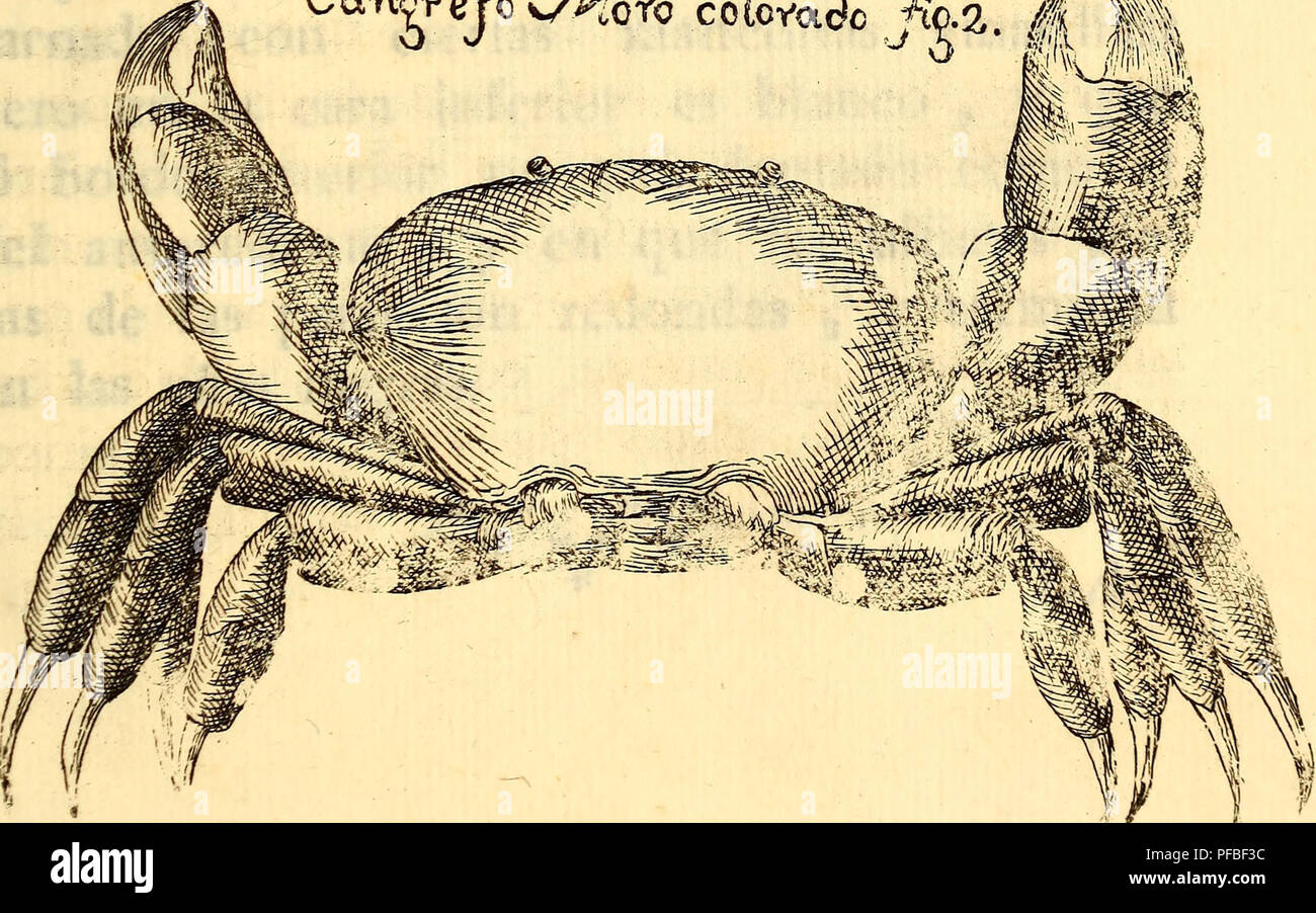 This historical text by Antonio Parra, featuring natural history ...