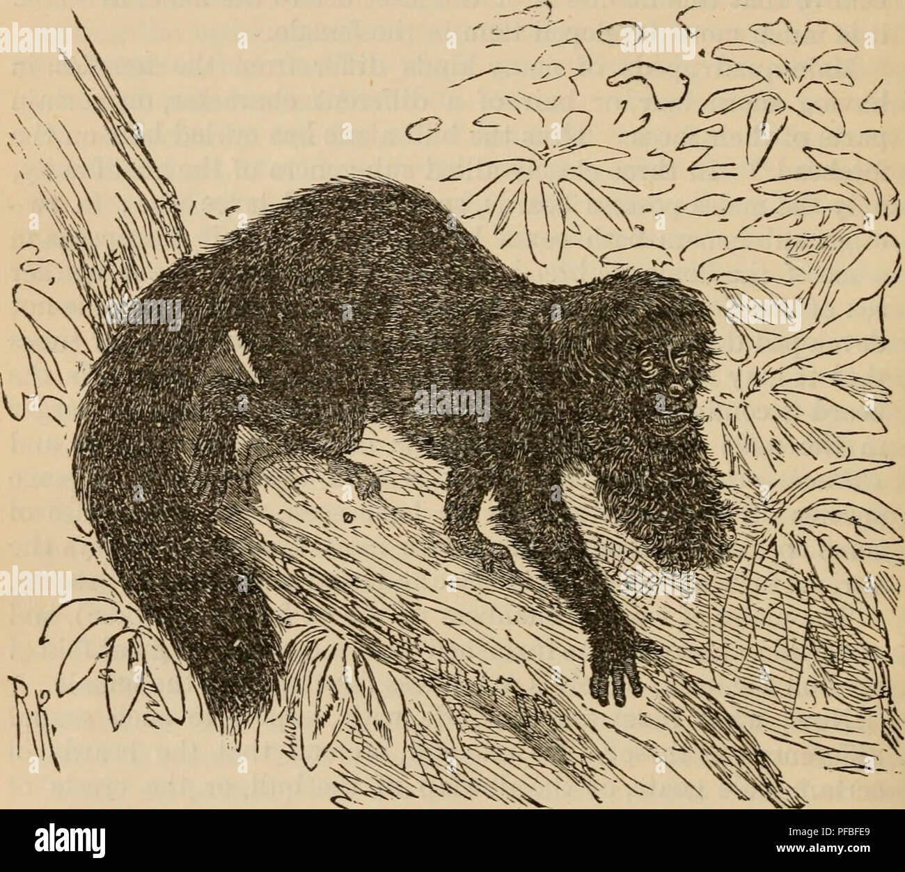 In this work, Charles Darwin discusses human evolution and sexual ...