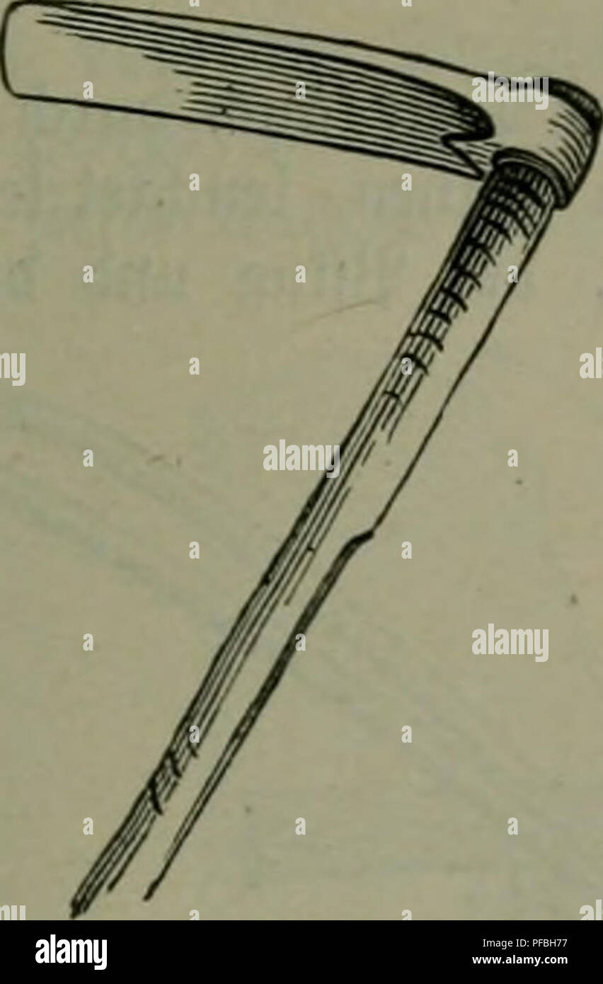 Riefen hi-res stock photography and images - Alamy