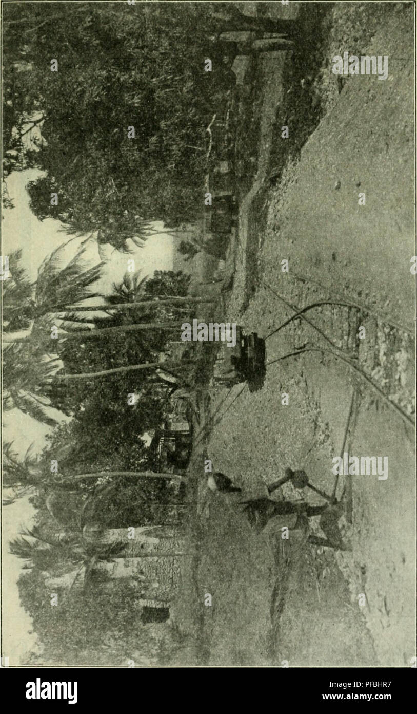 A journal focused on tropical agriculture, covering topics related to ...