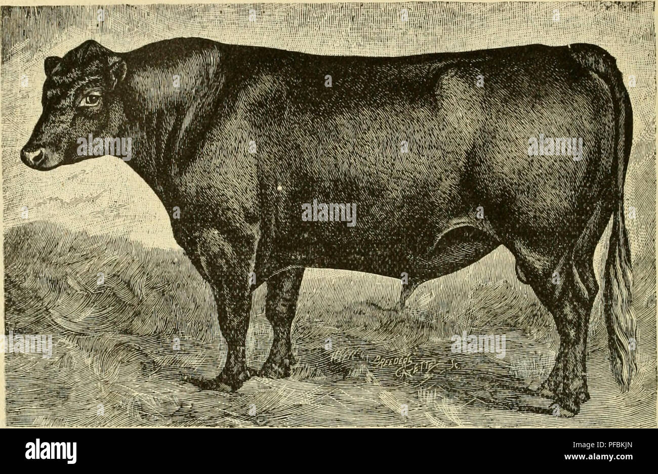 This guide, based on practical experience, offers a straightforward ...