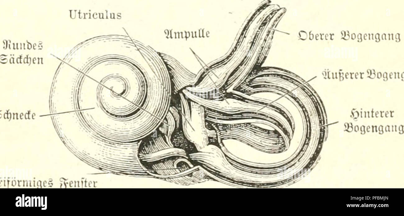 This book explores human anatomy, physiology, and anthropology ...