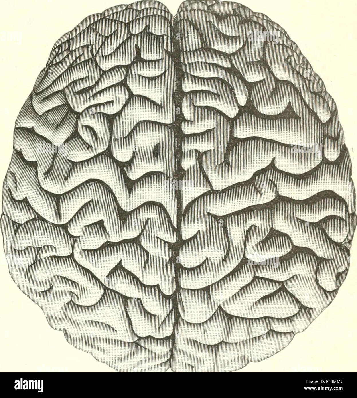 This work covers the study of human anatomy and physiology, exploring ...