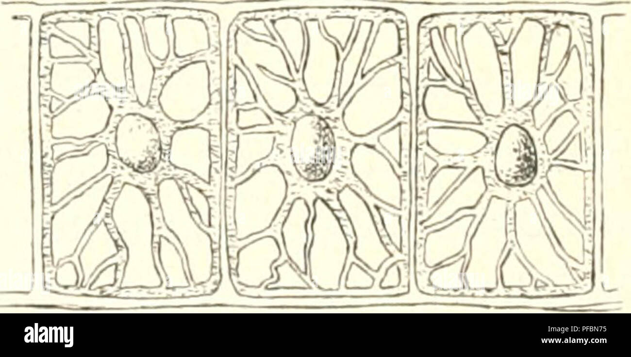 This text provides insights into human anatomy and physiology ...