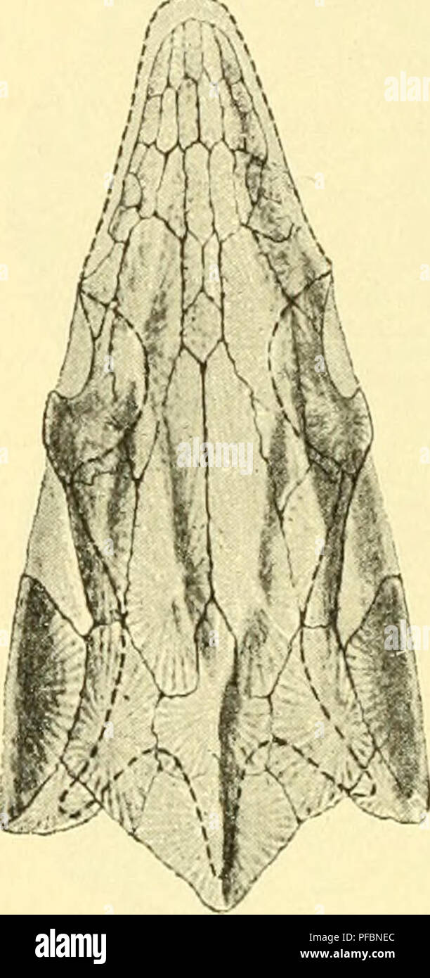 This image illustrates key points in the study of human evolution ...