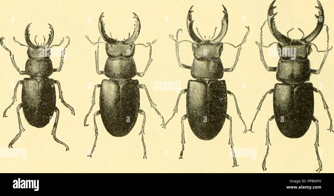 Entwicklung getan hi-res stock photography and images - Alamy